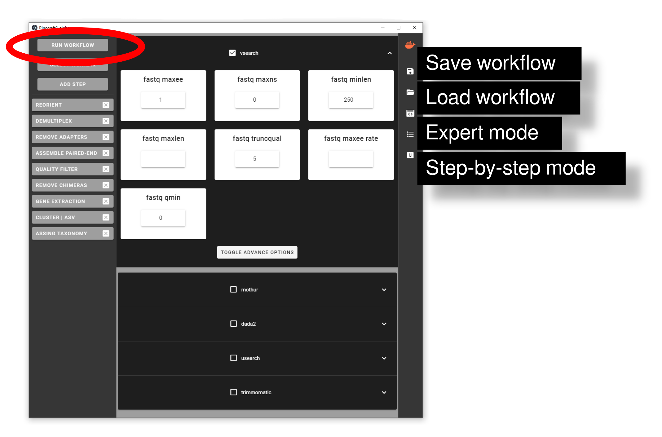 PipeCraft2 (бета-версия). | Soil_Zoology_2021